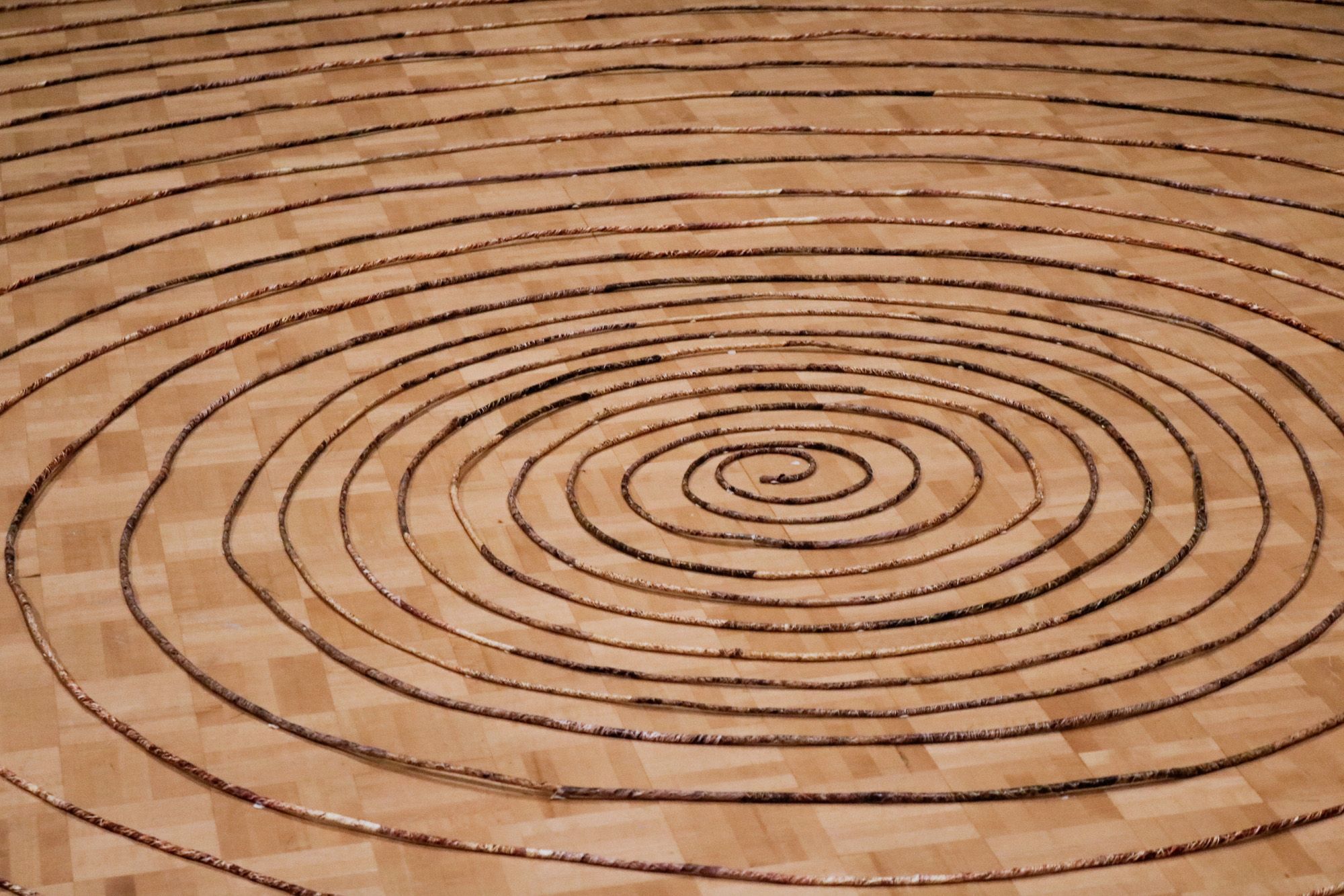 The Art of Faye HeavyShield