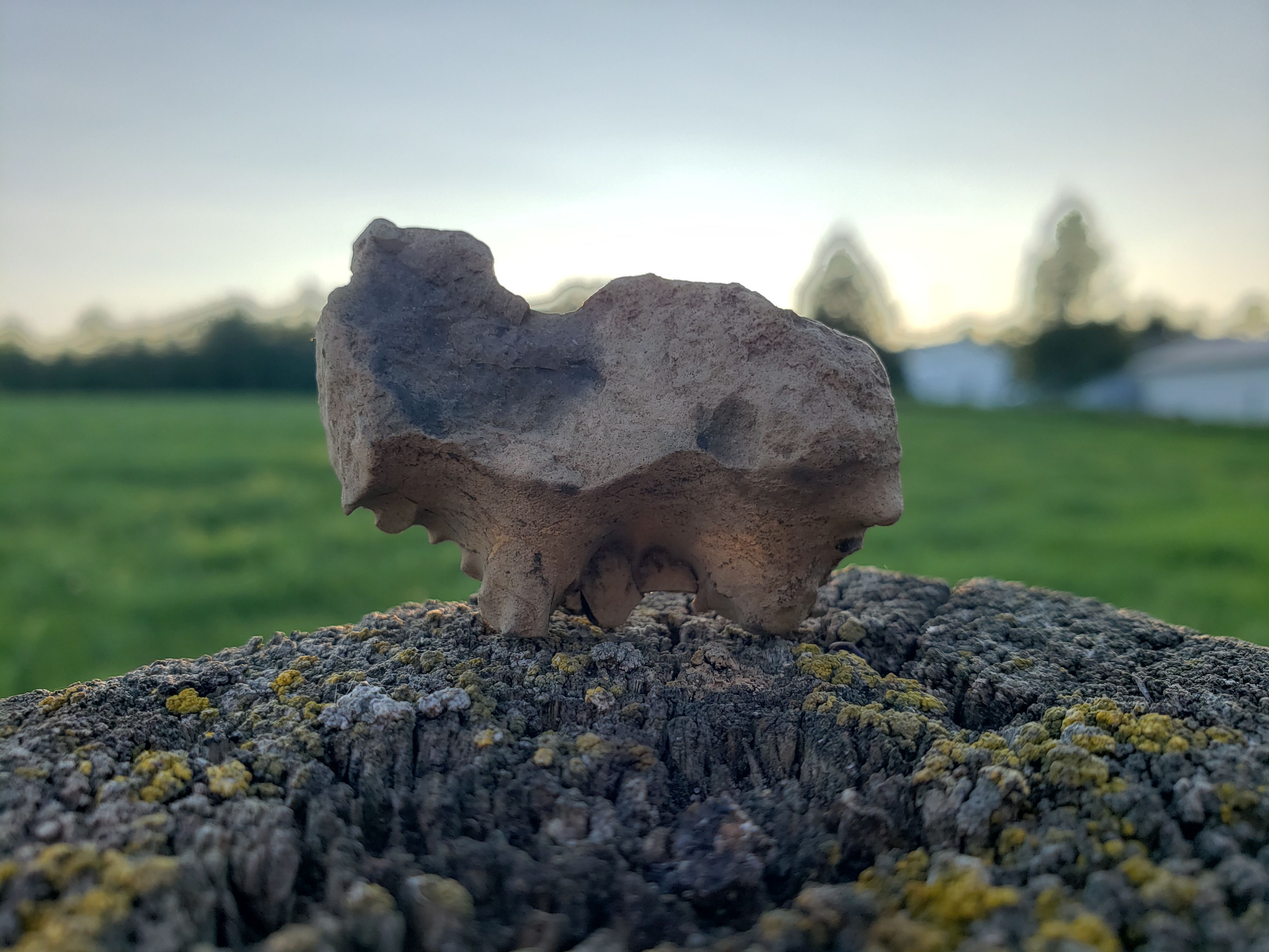 One Thing: A Rock Isn’t Always a Rock